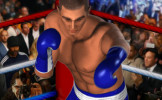 Play Boxing Games on 1001Games, free for everybody!
