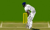 Play Cricket Games on 1001Games, free for everybody!